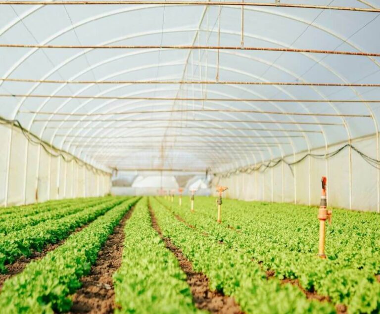 Plastenici i plastenička oprema - Kvalitet, garancija: Poljo-sementi